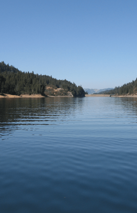 HOME - Ruth Lake